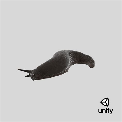 Black Garden Slug Crawling 3d Model Turbosquid 2013505