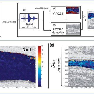 Top View Of The Experimental Set Up A Raw Radio Frequency RF Data Download Scientific