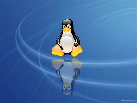 Linux Penguin Wallpapers Top Free Linux Penguin Backgrounds WallpaperAccess