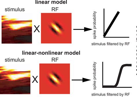 Figure 1 From On The Importance Of Static Nonlinearity In Estimating
