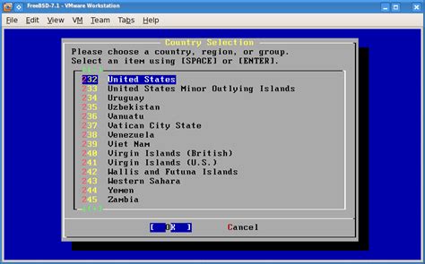[howto] Install And Configure Freebsd 7 1 On Vmware Workstation 6 5 From The Ground Up The Console