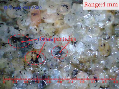 Distribution Of Pulverized Coal Particles In Proppant Pack A Download Scientific Diagram