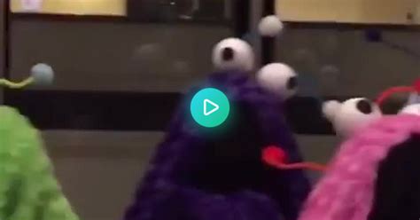 Yip Yip Yip Yip Yip Yip Yip Yip Album On Imgur