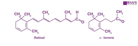 Aldehyde Definition Occurrence General Properties Uses FAQS And Videos Of Aldehyde