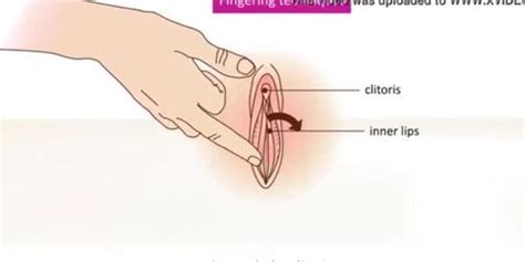 How To Finger A Woman Tnaflix Com