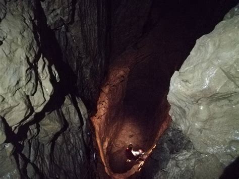 Sd Proteus Članovi Sd Proteusa Zajedno S članovima So