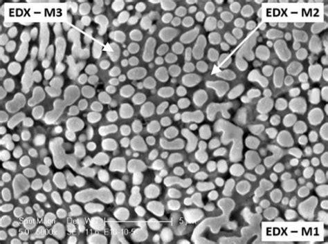 Sample B Cellular Dendritic Structure In The Surface Of The Laser