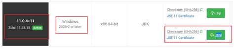 Salesforce Bytes Data Loader With Zulu Open JDK Installation