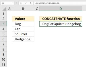 How To Use The CONCATENATE Function