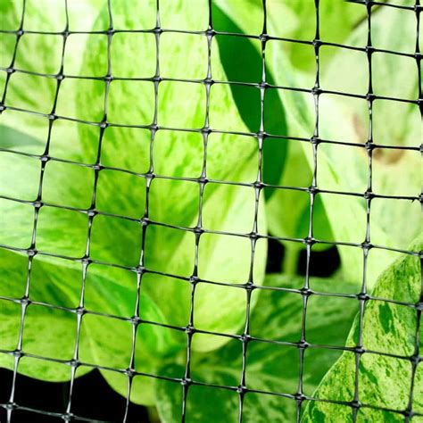 Bird Netting Heavy Duty Structural Bird Net Keeps Birds Pests Out