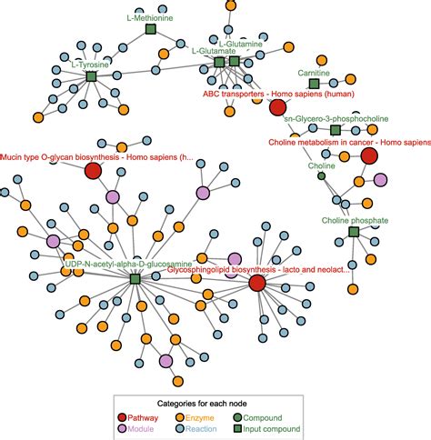 Zbar Spreadsheet For Fella An R Package To Enrich Metabolomics Data