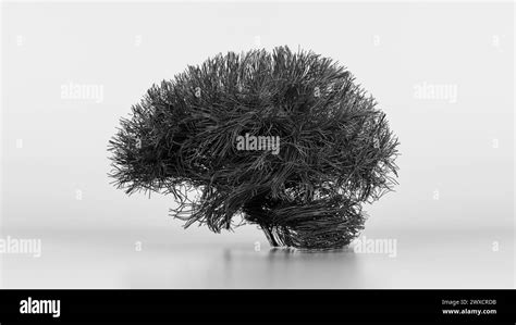 Illustration Of Human Brain Nerve Tracts Neural Pathways Based On Diffusion Mri Data Stock