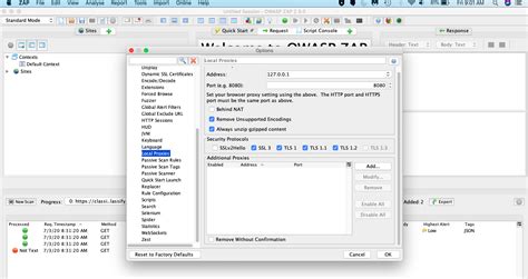 rest api zap scan external api using oauth2 for security review