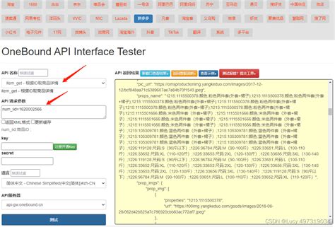如何通过api接口获取拼多多item get 根据id取商品详情 c webview2 获取拼多多订单 csdn博客