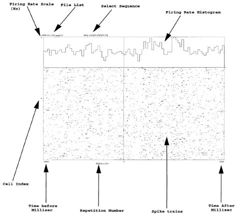 An Example Of A Raster Display With Psth Drawn Above The Psth In This Download Scientific