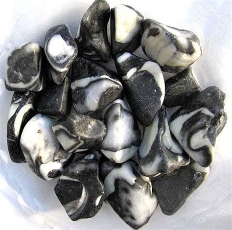 Shell Stone Fossilized Limestone Tumbled 400g Raw Stones Etsy
