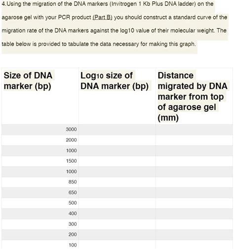 Solved Using The Migration Of The Dna Markers Invitrogen Kb Plus Dna