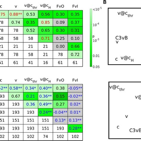 Similarity Structure Across Different Decoding Analyses Correlation