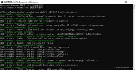 基于zephyr平台nrf Connect Sdk在windows10下开发环境的快速搭建nrf Win10 环境 Csdn博客