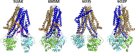 High Resolution Structures Of Cftr See Table 2 For Conditions For Each Download Scientific