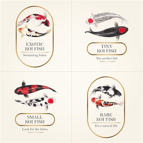 잉어 물고기 개념 수채화 스타일 로고 템플릿 프리미엄 벡터