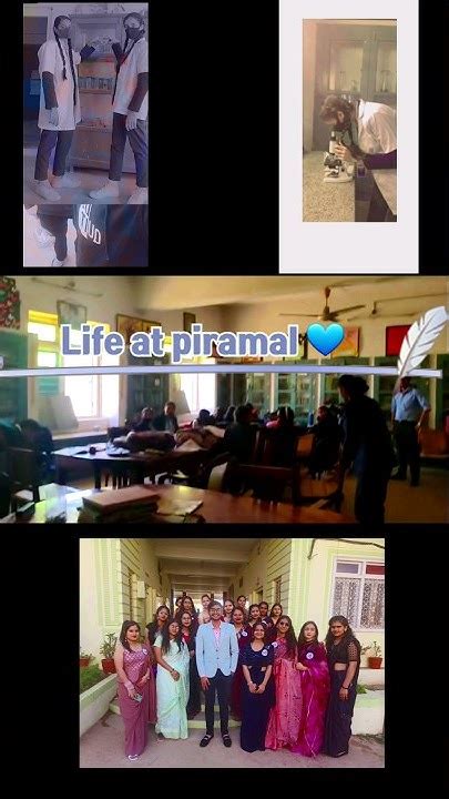 Chapter 3 Piramal 💙 Pythonwithkaran Shorts Youtube