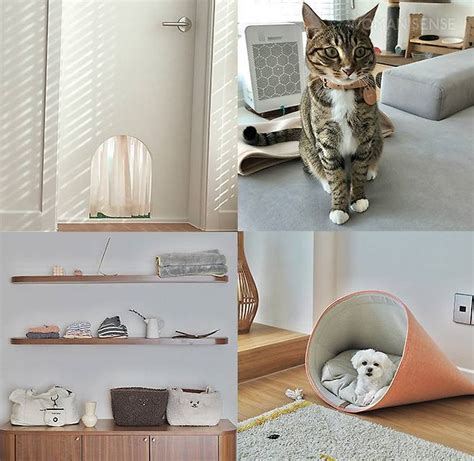 강아지와 고양이가 함께 사는 집 어떻게 꾸밀까