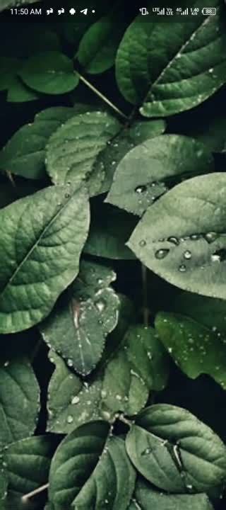 Amjad Khan On Linkedin Flutterdev Firebase Mobileappdevelopment