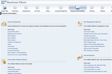 Sap Grc Controles De Mitigación