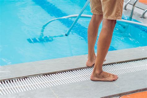 수영장청소기 수영장 햇볕이 잘 드는 청소 장비가있는 파란색 셔츠를 입은 남자 가지 식물 부위에 대한 스톡 사진 및 기타 이미지 가지 식물 부위 계절 관리인 Istock