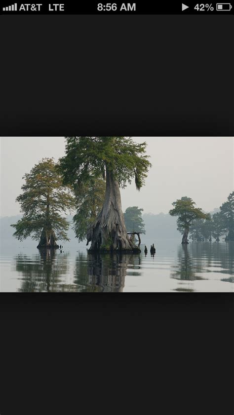 The Great Dismal Swamp Outlandish Outlander Series Outlander