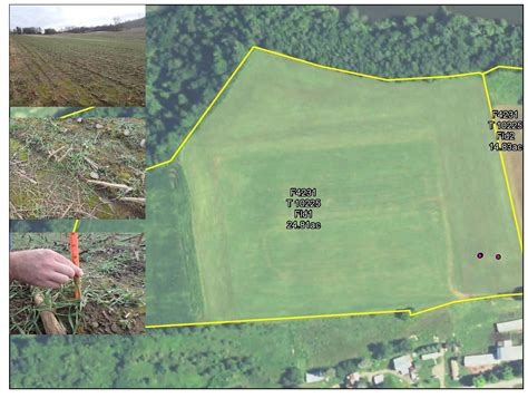 Arcgis Desktop Data Driven Multiple Photos From Point Layer Geographic Information Systems