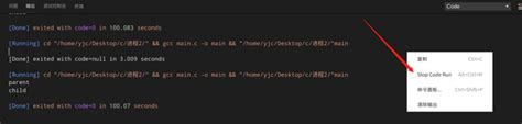 Vs Code 运行go包提示：code Is Already Running 后端问题 萝卜网络博客