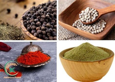 Pepper Export Situation In The World