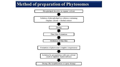 Phytosomes