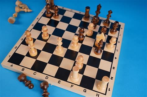 체스판에 흰색과 검은 색 나무 조각 파란색 배경에 게임 중에 설정 된 체스 보드 결정에 대한 스톡 사진 및 기타 이미지 결정 경기 스포츠 경쟁 Istock