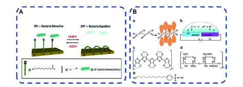A Schematic Diagram Of An Electrically Switchable Two Component Sam
