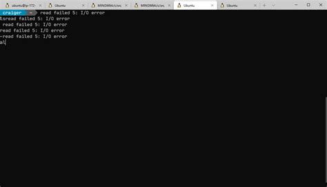 WSL Terminal Read Failed I O Error When Opening A File With A Windows Editor On A File In