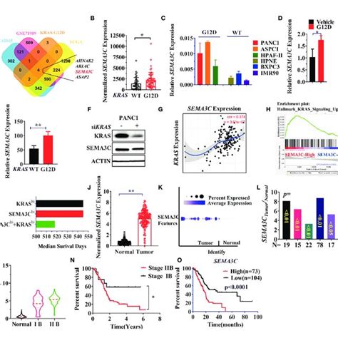 A The Expression Data Are First Log TPM Transformed For Download Scientific Diagram