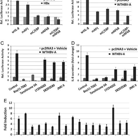 Ap 1 Cebp And Nf Kb Binding Sites Are All Involved In Hbv Induced Download Scientific Diagram