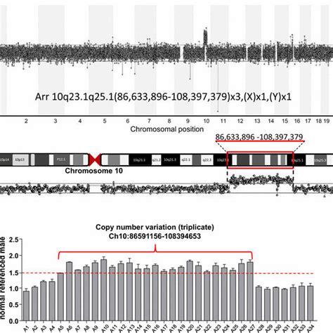 Array Comparative Genomic Hybridization And Validation By Quantitative