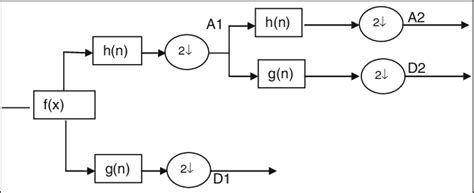 decomposition of a signal into approximation and detail components