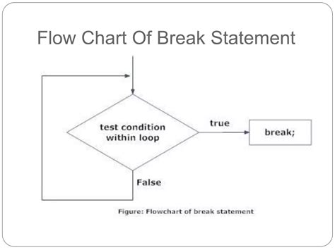 c decision making and looping pptx