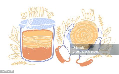 Vetores De Kombucha Fermentado Probiótico Chá Caseiro Scoby Em Mãos