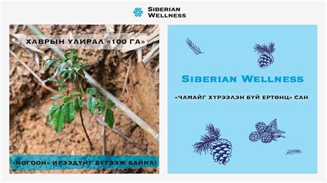 Хаврын улирал 100 га ногоон ирээдүйг бүтээж байна Youtube