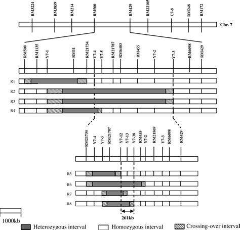 Genotypes Compositions Of Nil Populations In The Target Region Nil Download Scientific