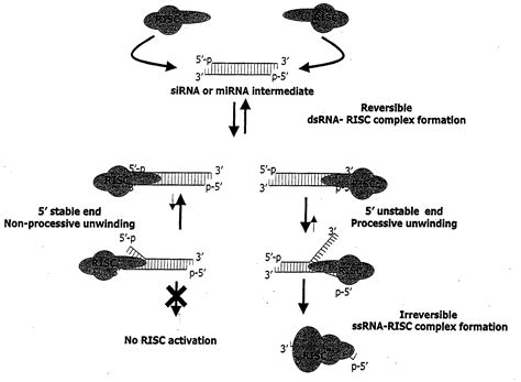 Screening Process Patented Technology Retrieval Search Results Eureka