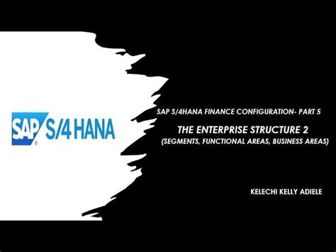 Sap S4hana Fi Configuration Part 5 Segments Business Areas Credit