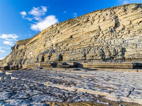 Fossils Show Stasis And No Transitional Forms The Institute For Creation Research