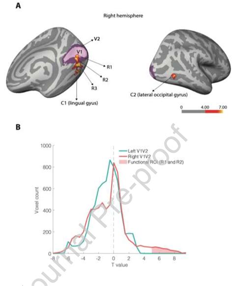 Figure 2 From Fmri Signatures Of Perceptual Echoes In Early Visual Cortex Semantic Scholar